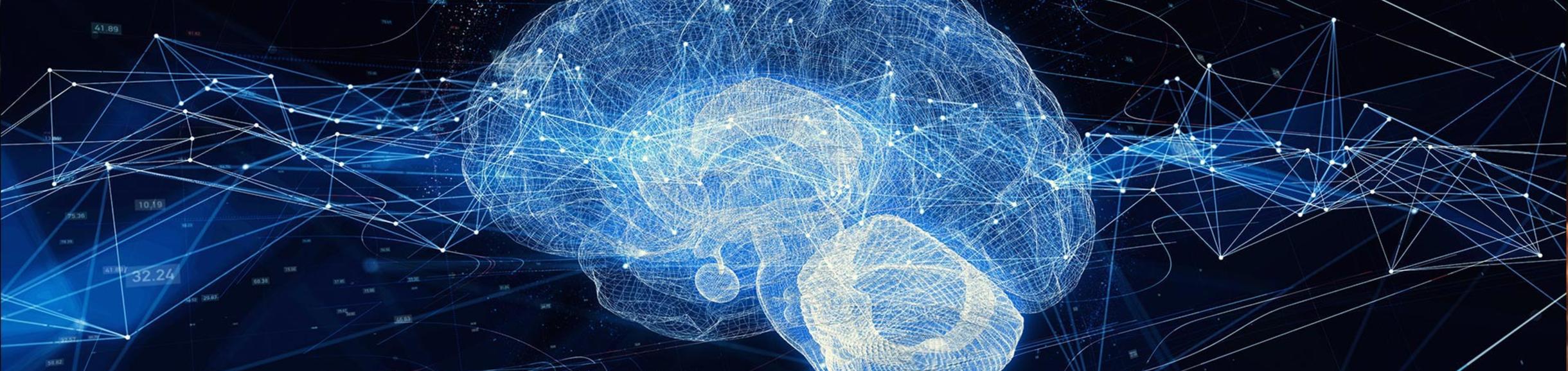 About | Neuroscience Graduate Program